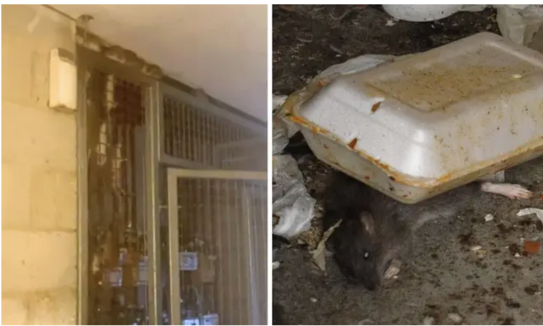 RAT INFESTED NOTTING HILL GENESIS DUMP. RESIDENTS ASK CEO, FRANCO TO ...